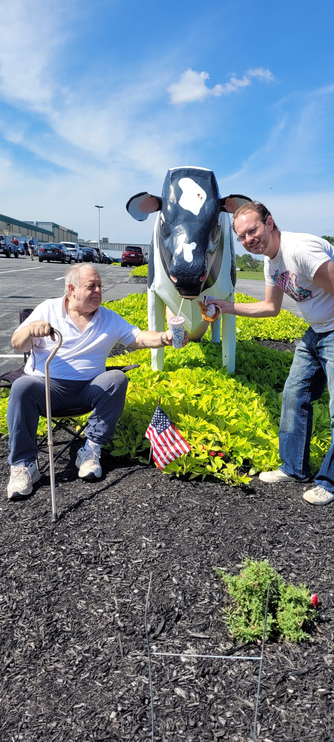 Molly Moo – Name The Cow